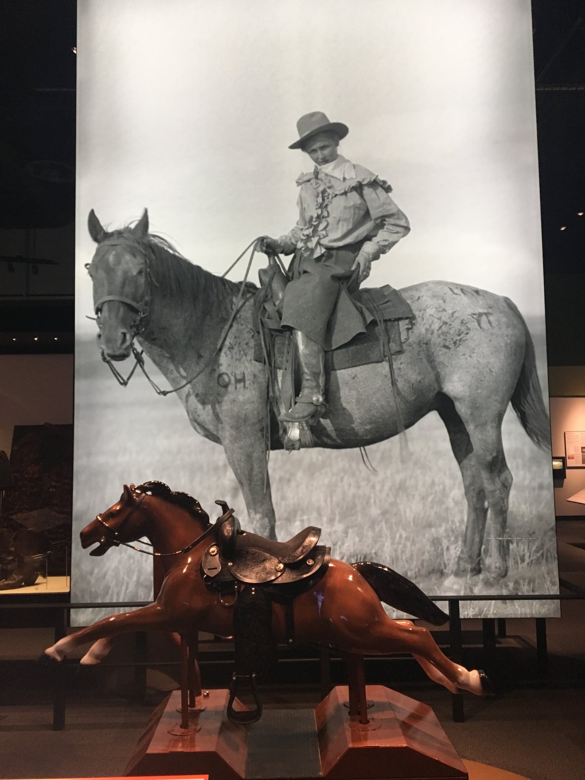 Pictures and video explore the exhibits at Edmonton’s brand new Royal ...
