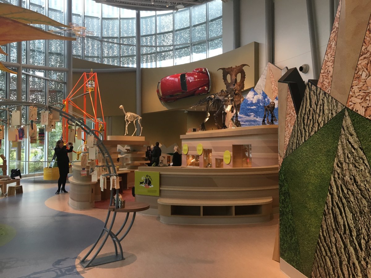 Pictures and video explore the exhibits at Edmonton’s brand new Royal ...