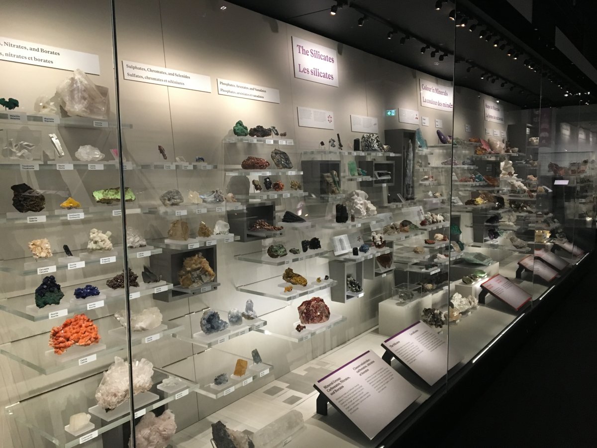 Pictures and video explore the exhibits at Edmonton’s brand new Royal ...