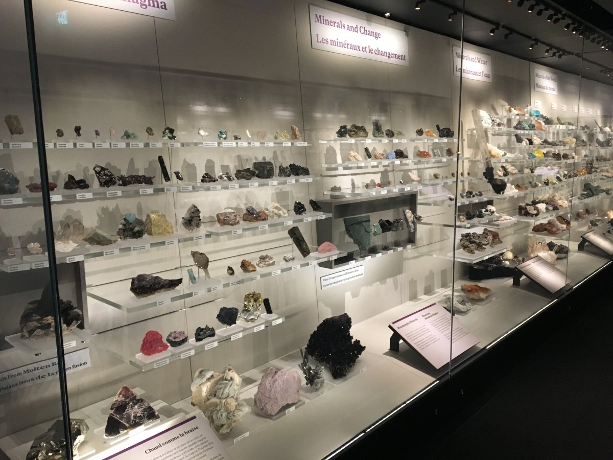 Pictures and video explore the exhibits at Edmonton’s brand new Royal ...