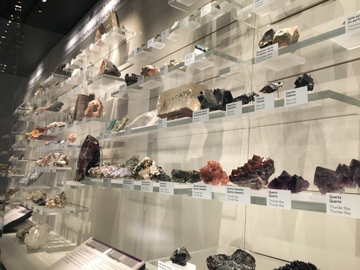 Pictures and video explore the exhibits at Edmonton’s brand new Royal ...