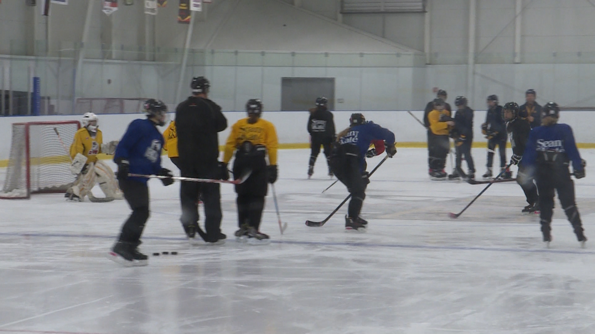 Kingston Bantam Ice Wolves fighting for 1st place - Kingston ...