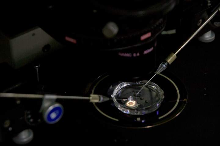 World’s first gene-edited babies created in China, scientist claims ...