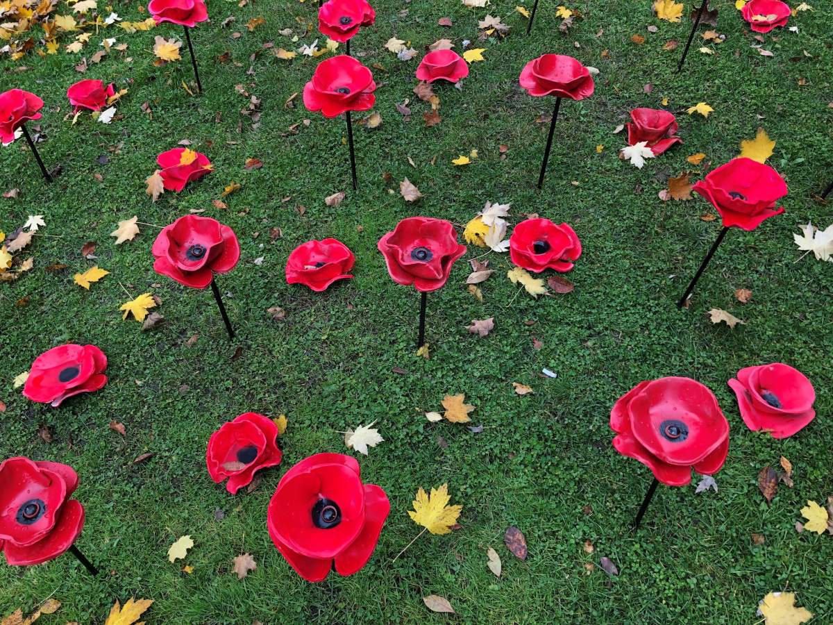 Art installation remembers each former Central Secondary student who ...