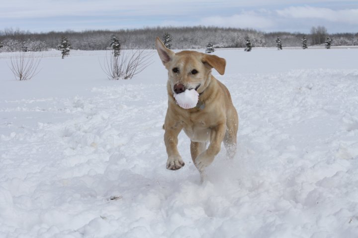 Mike’s Monday Outlook: finally, some snow on the way - Winnipeg ...