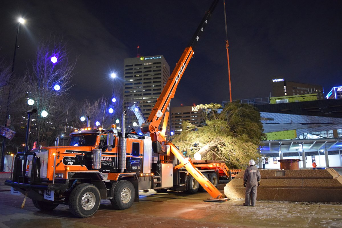 65-foot Christmas tree in place in downtown Edmonton - Edmonton ...