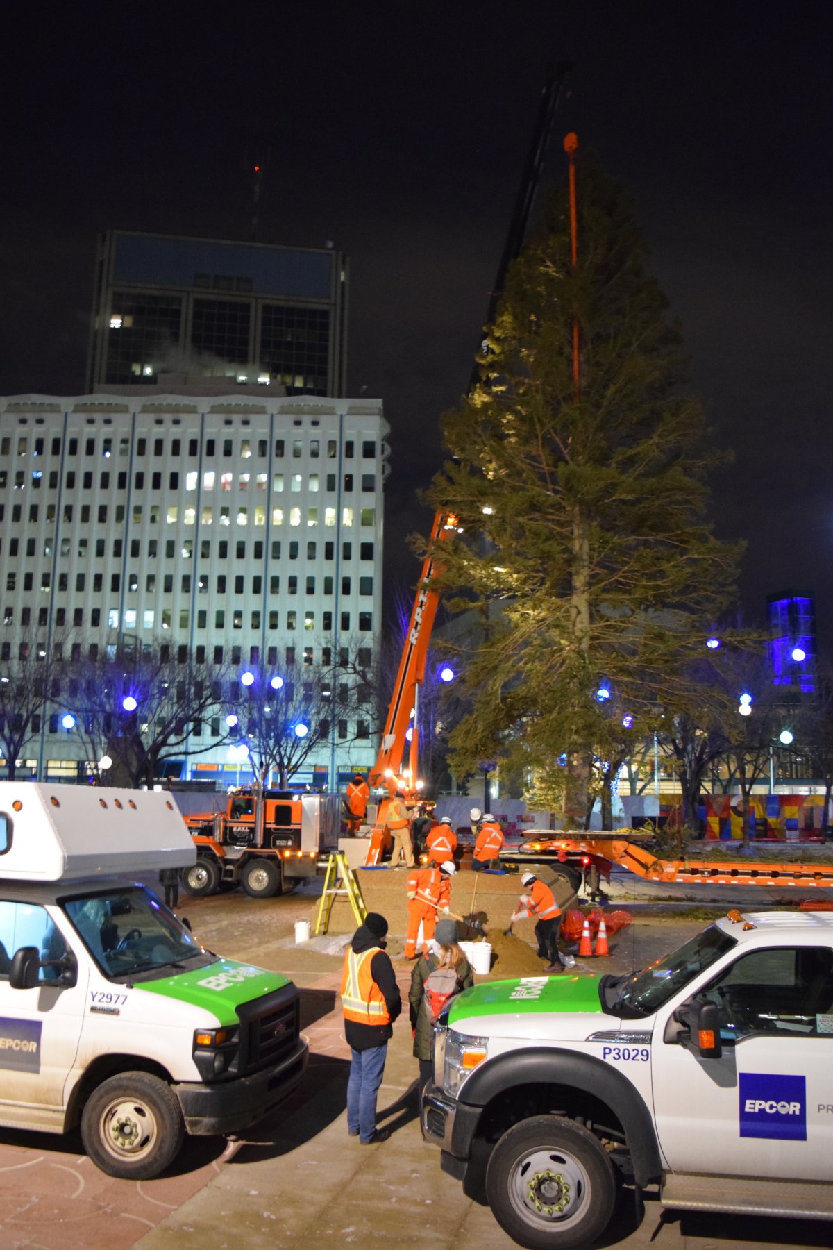 65-foot Christmas tree in place in downtown Edmonton - Edmonton ...