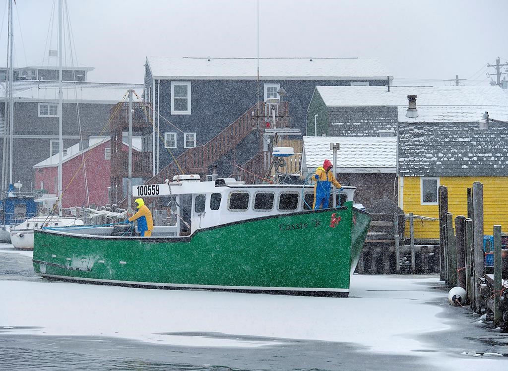 New year, new snow: Storm set to hit Maritimes on New Year’s Day ...