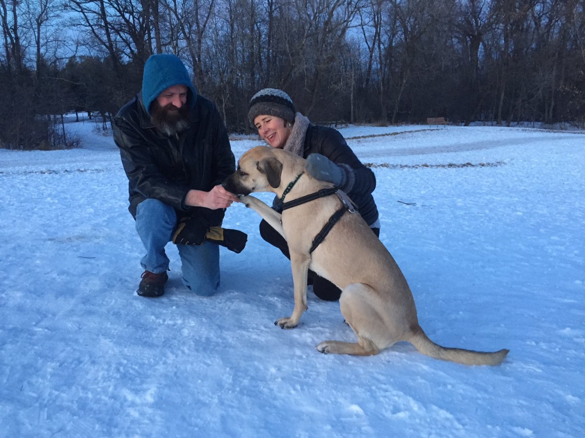 Winnipeg’s Doggie Date program creating lasting ‘furever’ friends ...