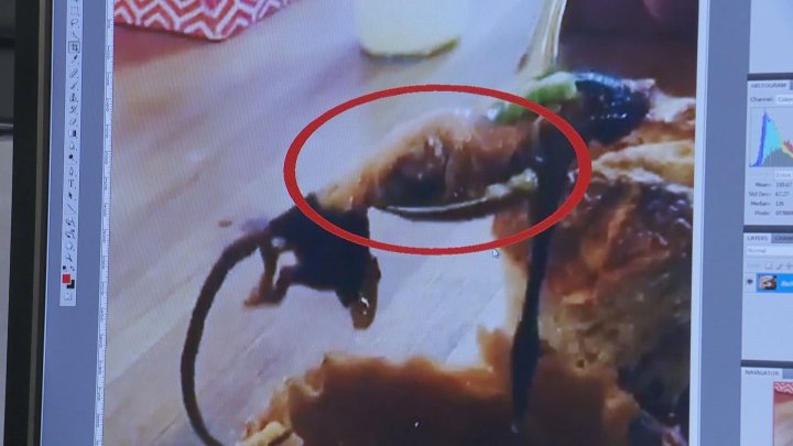 ‘A good possibility’ rat in soup video is authentic, says forensic ...