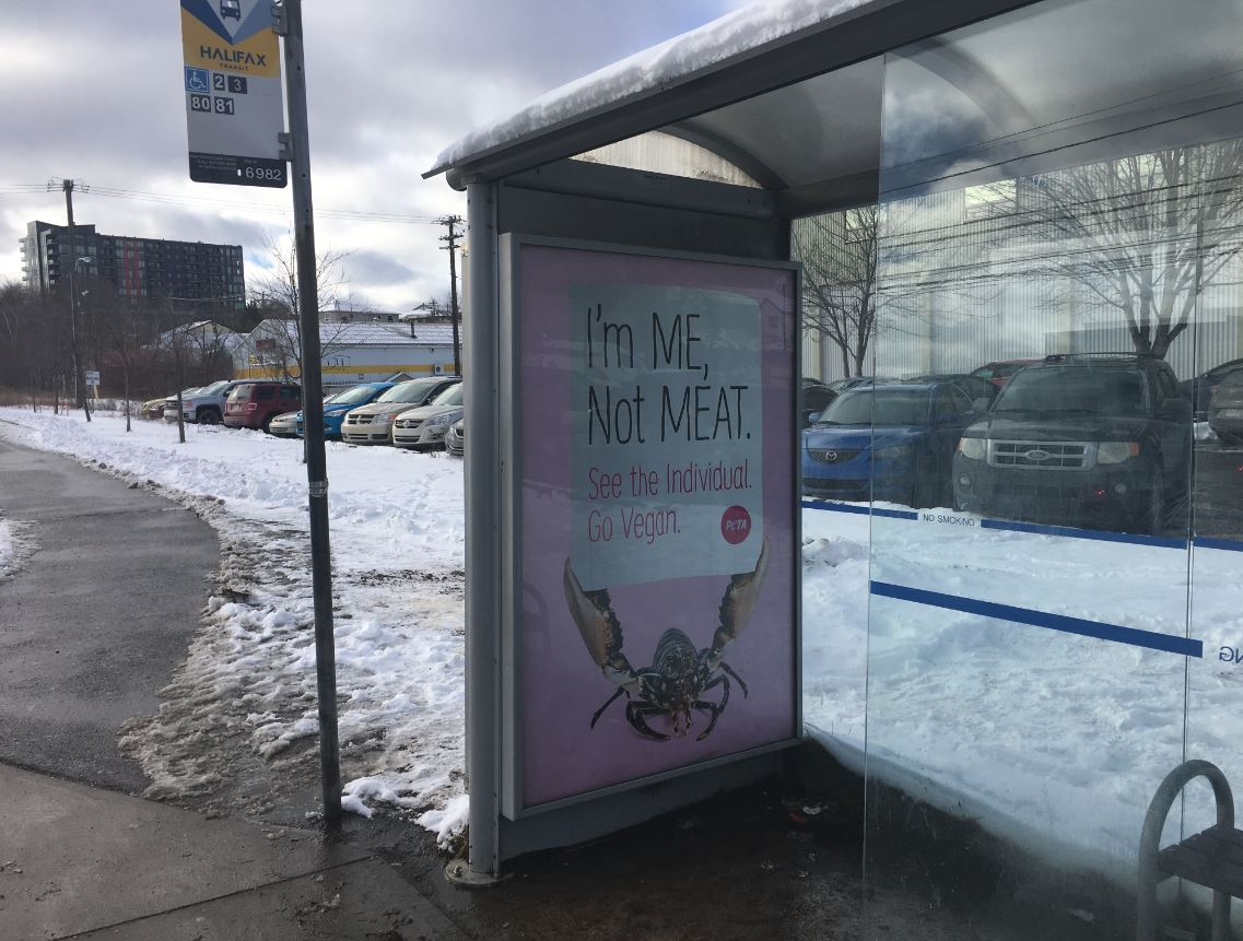 ‘I’m me, not meat’: PETA ad targets a favourite East Coast dish ...