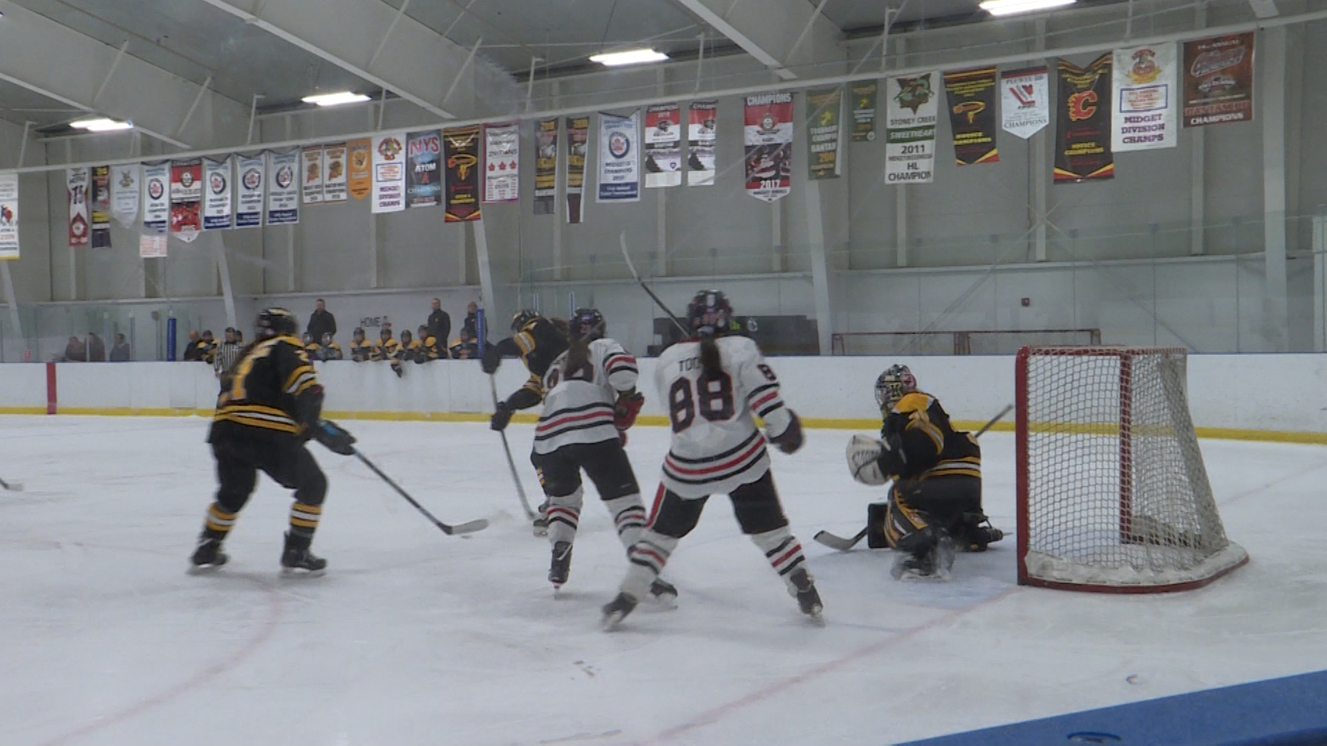 Last-minute goal secures Kingston Ice Wolves’ 2-1 victory over Nepean ...