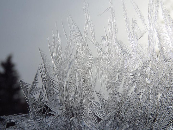 Nature turned artist: How Mother Nature uses your windshield as her ...