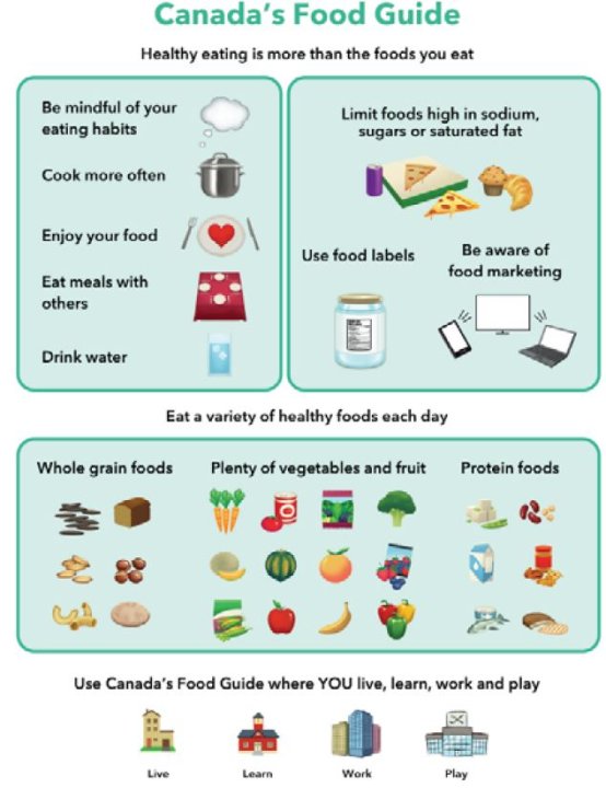 What an early draft tells us about Canada’s new food guide - National ...