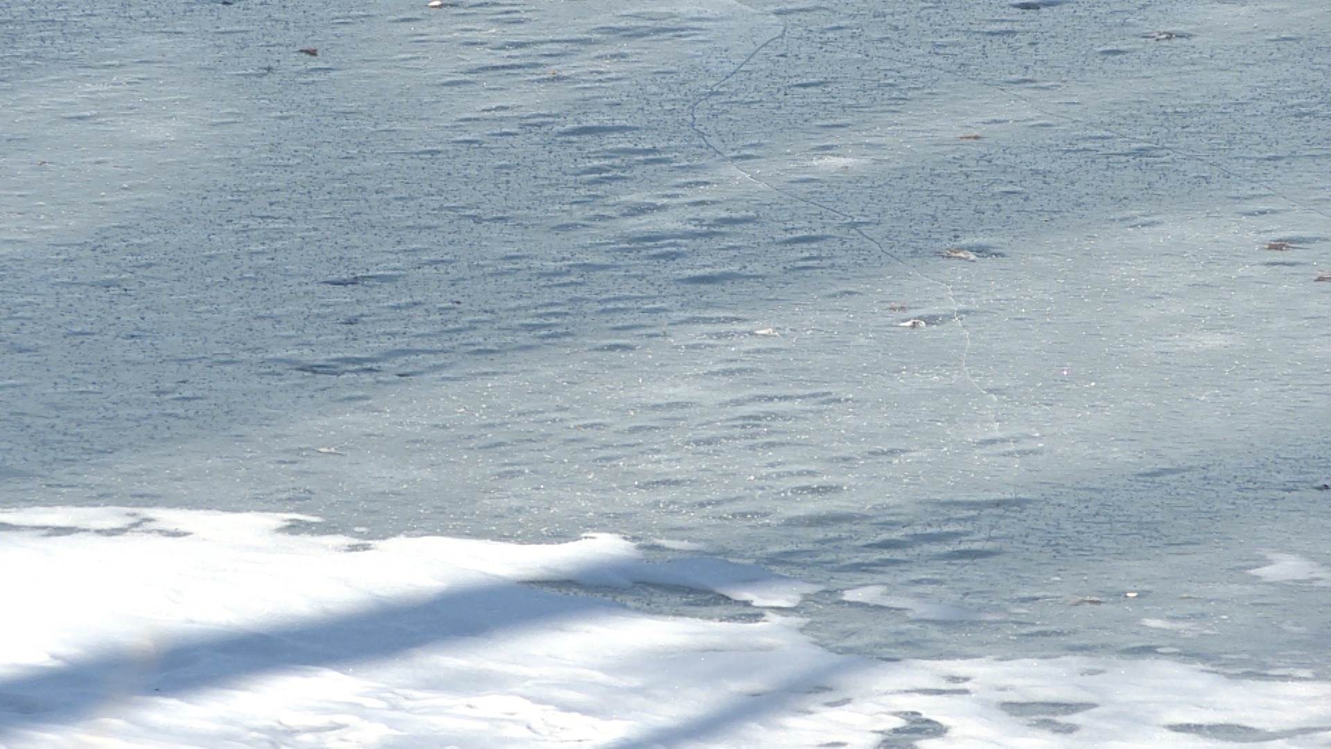 A group of anglers rescue men who fell through ice in Prince Edward ...