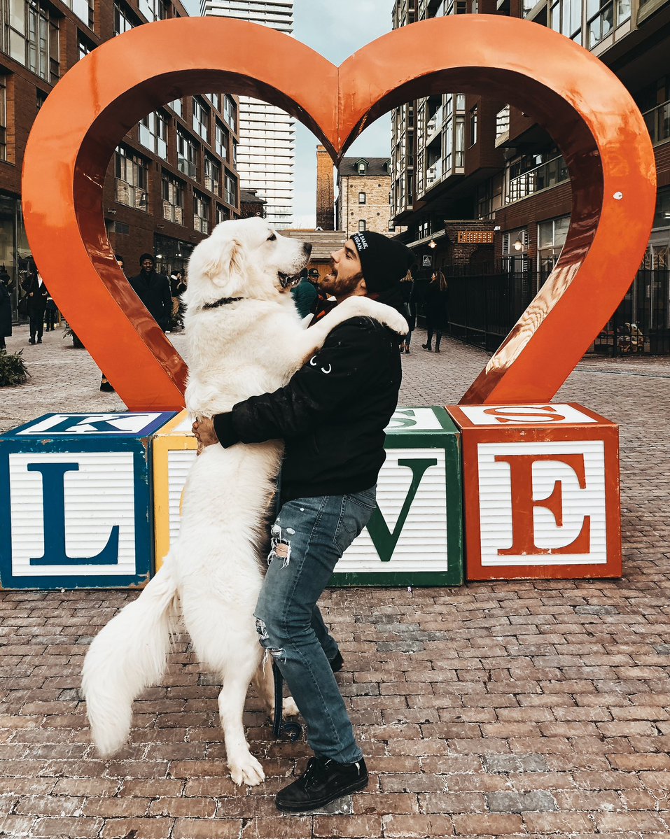 ‘They love you unconditionally’; Bombers’ John Rush on his unbreakable ...