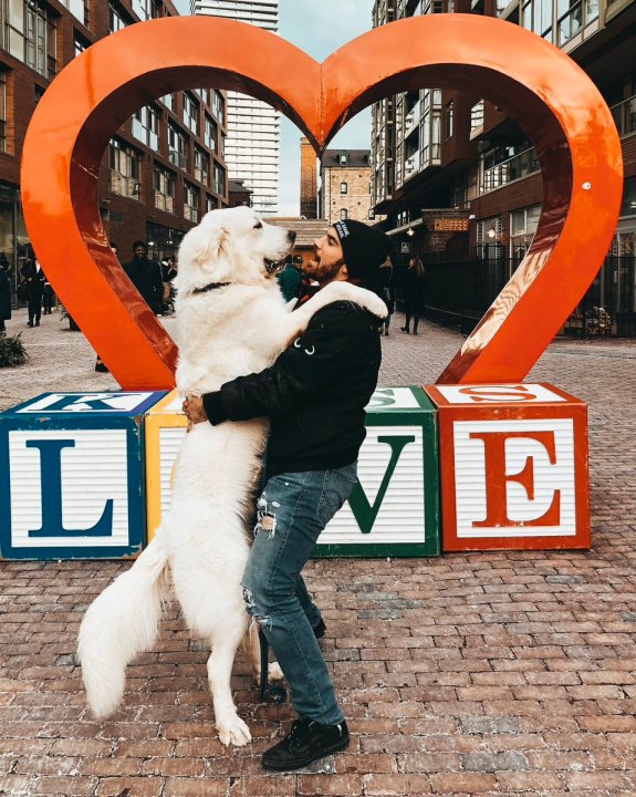 ‘They love you unconditionally’; Bombers’ John Rush on his unbreakable ...