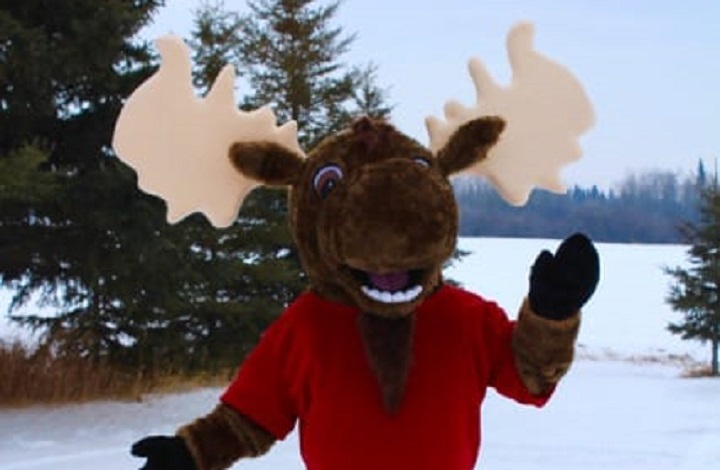 Moose lips sink ships: Kamloops Crime Stoppers unveils extra-Canadian ...