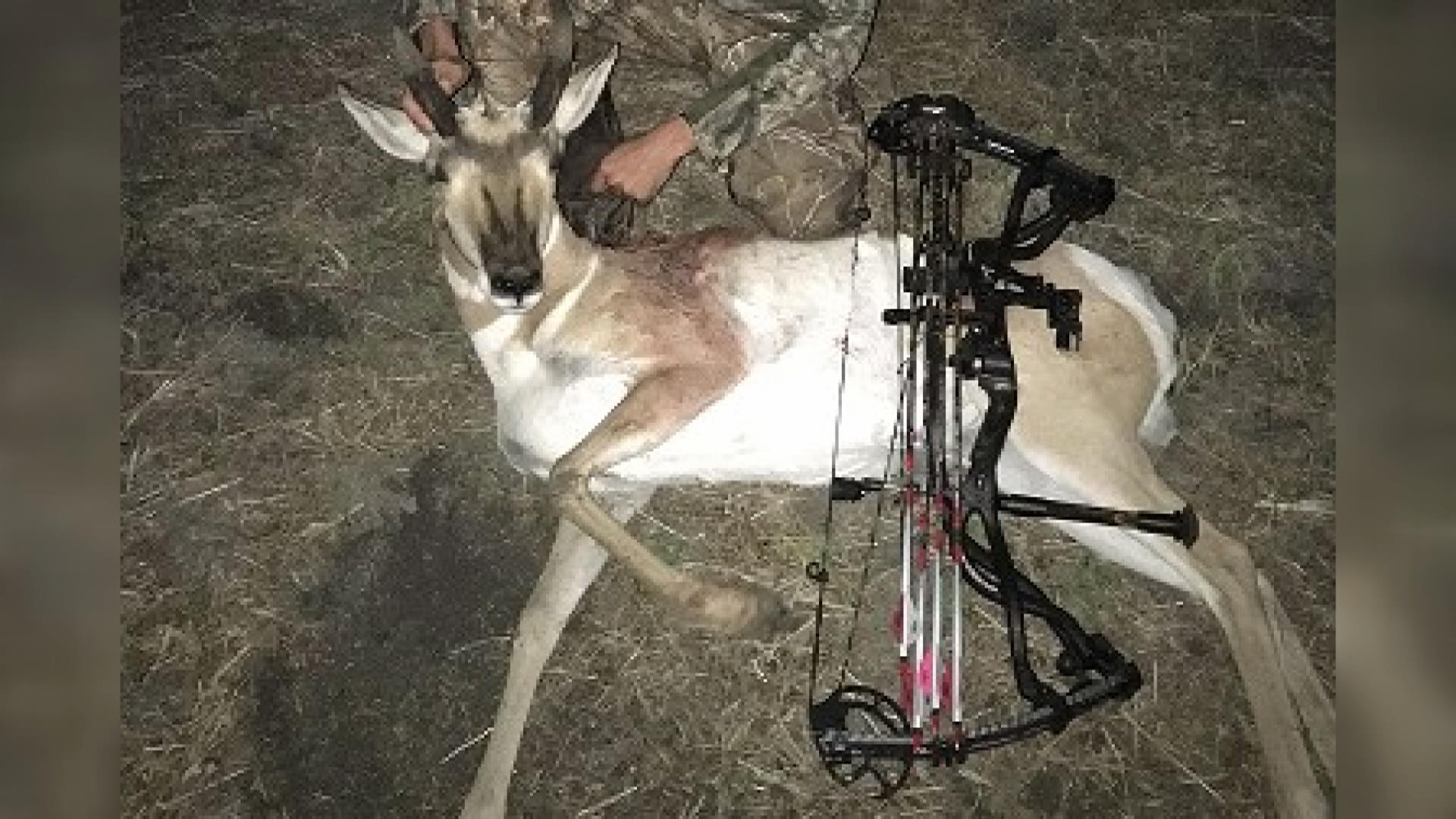 2 American hunters face Saskatchewan poaching charges | Globalnews.ca