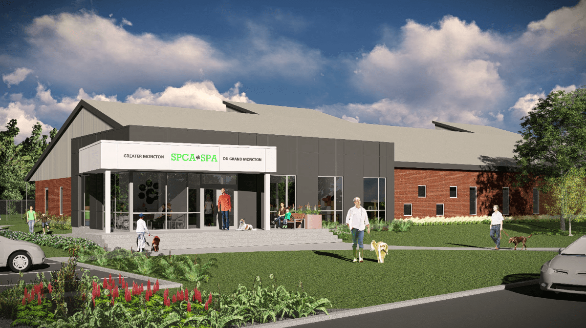 ‘This building is deteriorating’: Greater Moncton SPCA sets sights on ...