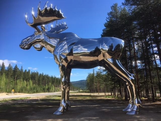 My moose is bigger than your moose: Norwegian politician to visit ...