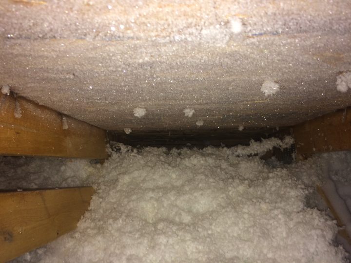 Attic rain cases are on the rise in Calgary - Calgary | Globalnews.ca