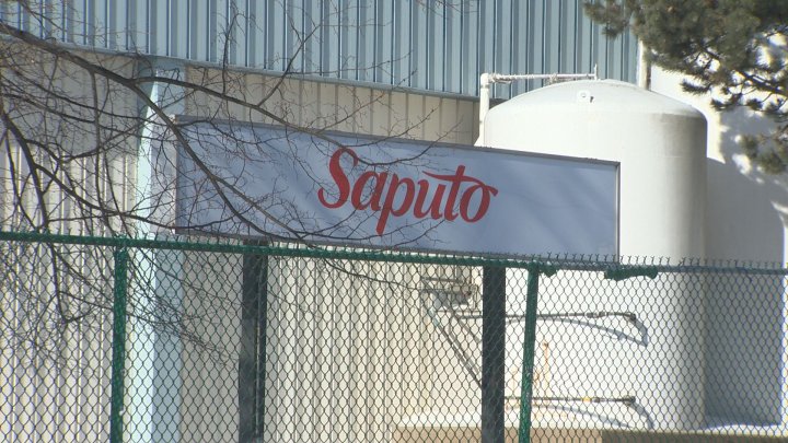 Saputo takes Dairy Farmers of New Brunswick to court over ‘contaminated ...