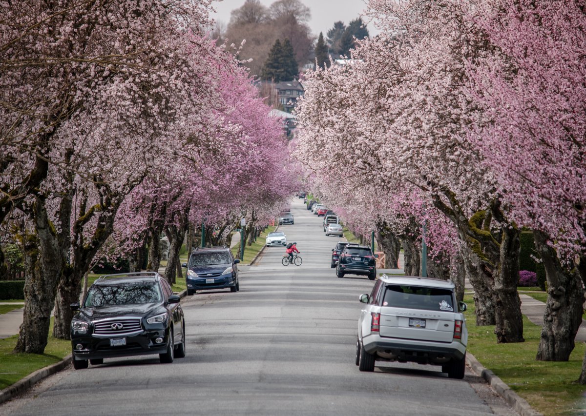 Spring has arrived in Metro Vancouver, and that means it’s time for ...