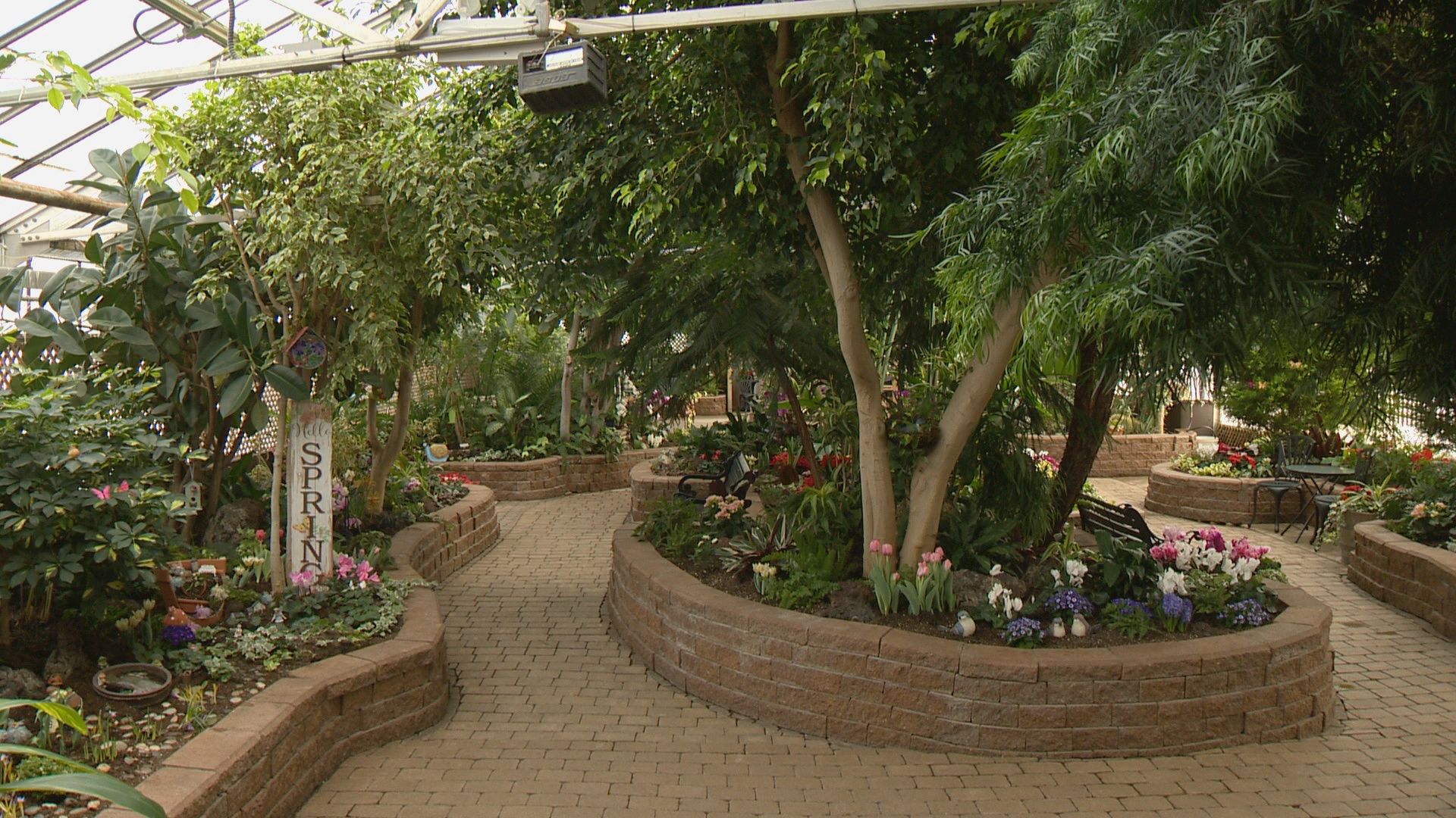 ‘We are looking within the next decade to build this’: Regina Floral ...