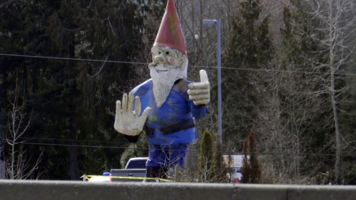 Howard’s end? Giant Vancouver Island gnome needs a new home - BC ...
