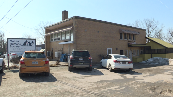 Quinte West council approves loan for new Quinte Humane Society build ...