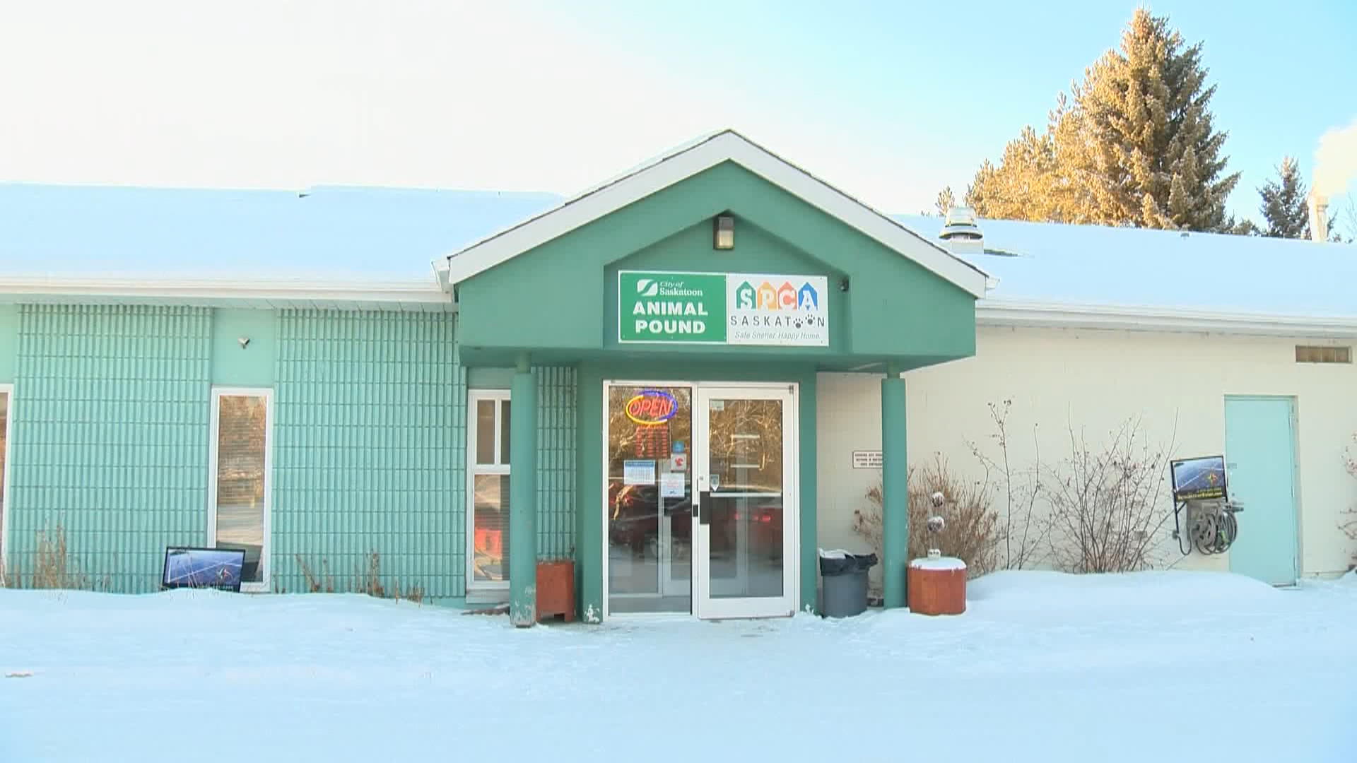 Saskatoon SPCA asks city for new funding structure to stay open next ...