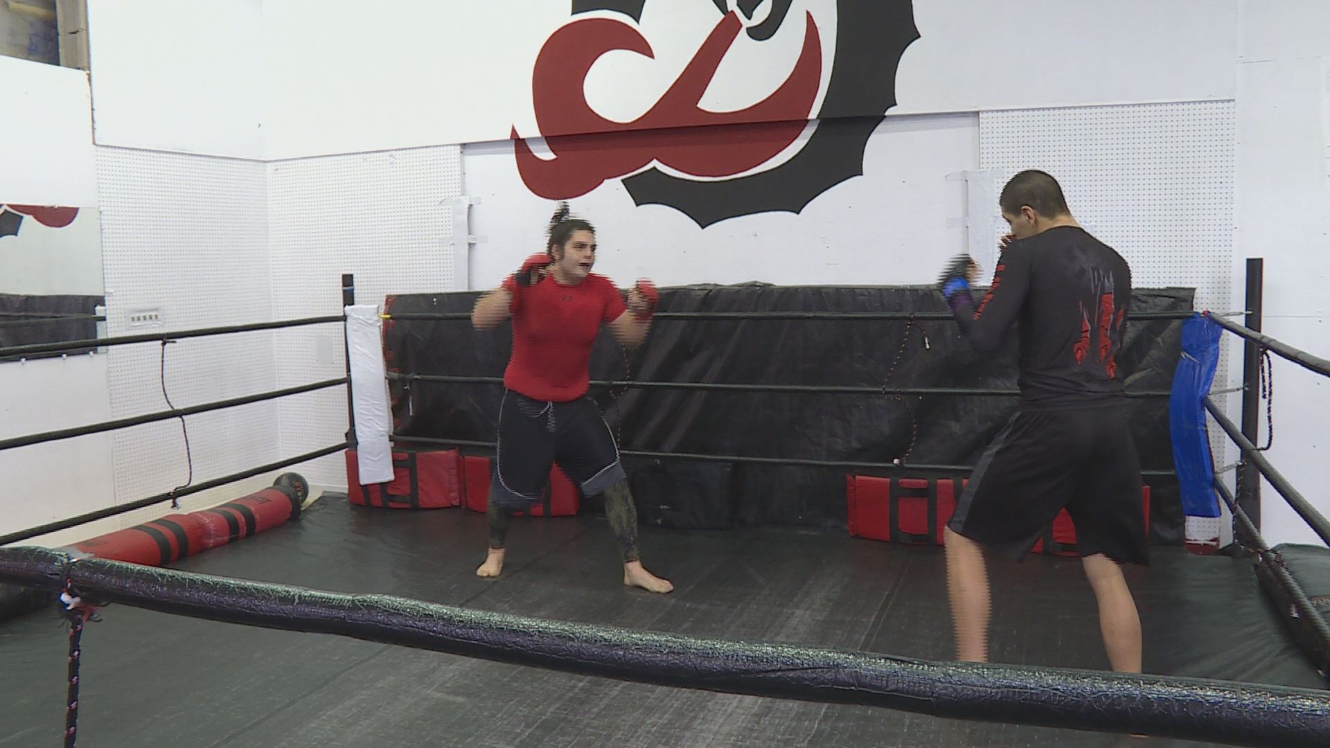 Vernon reconsidering ban on professional MMA fights | Globalnews.ca