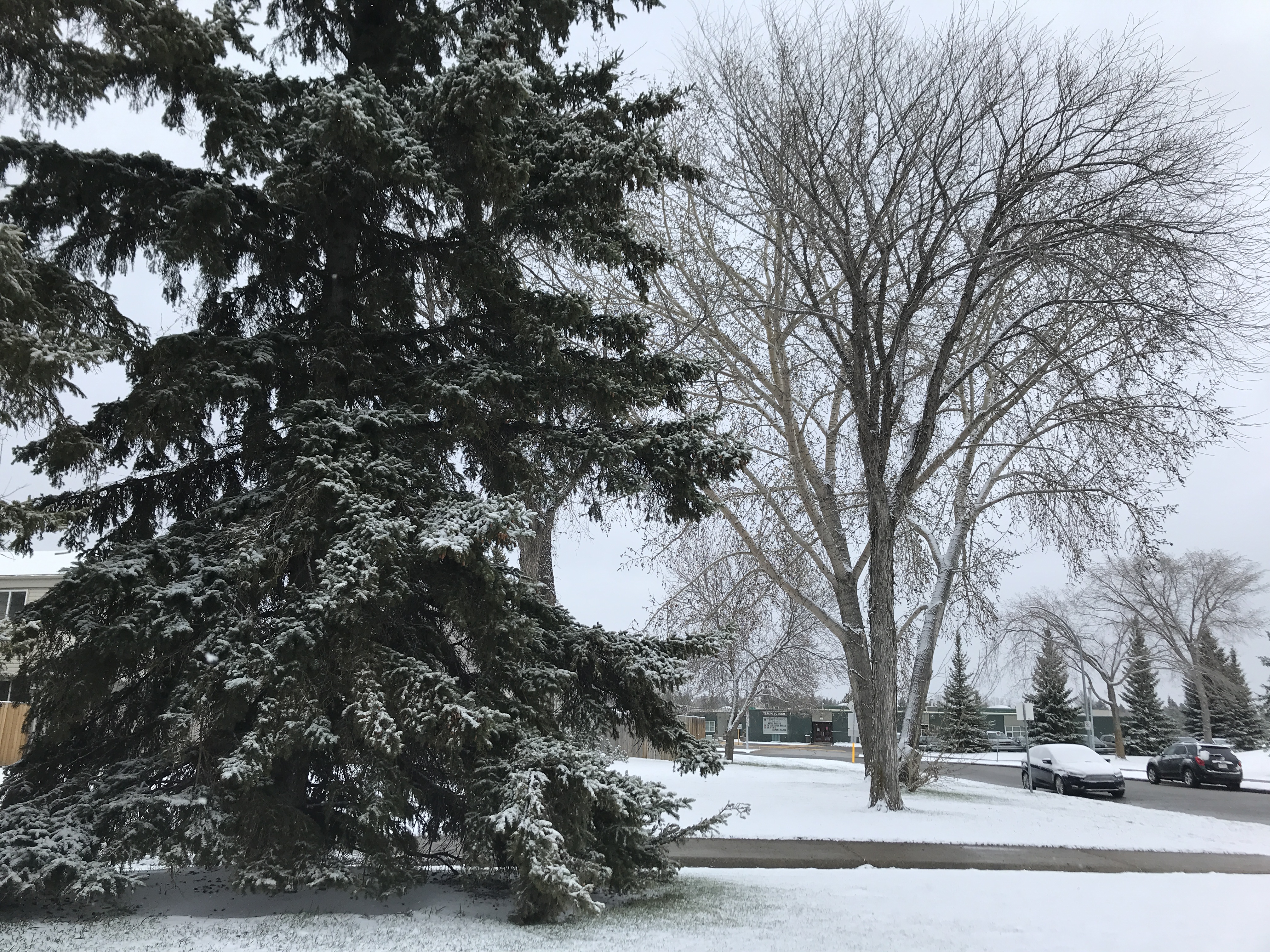 More spring snow in Edmonton on final day of April - Edmonton ...