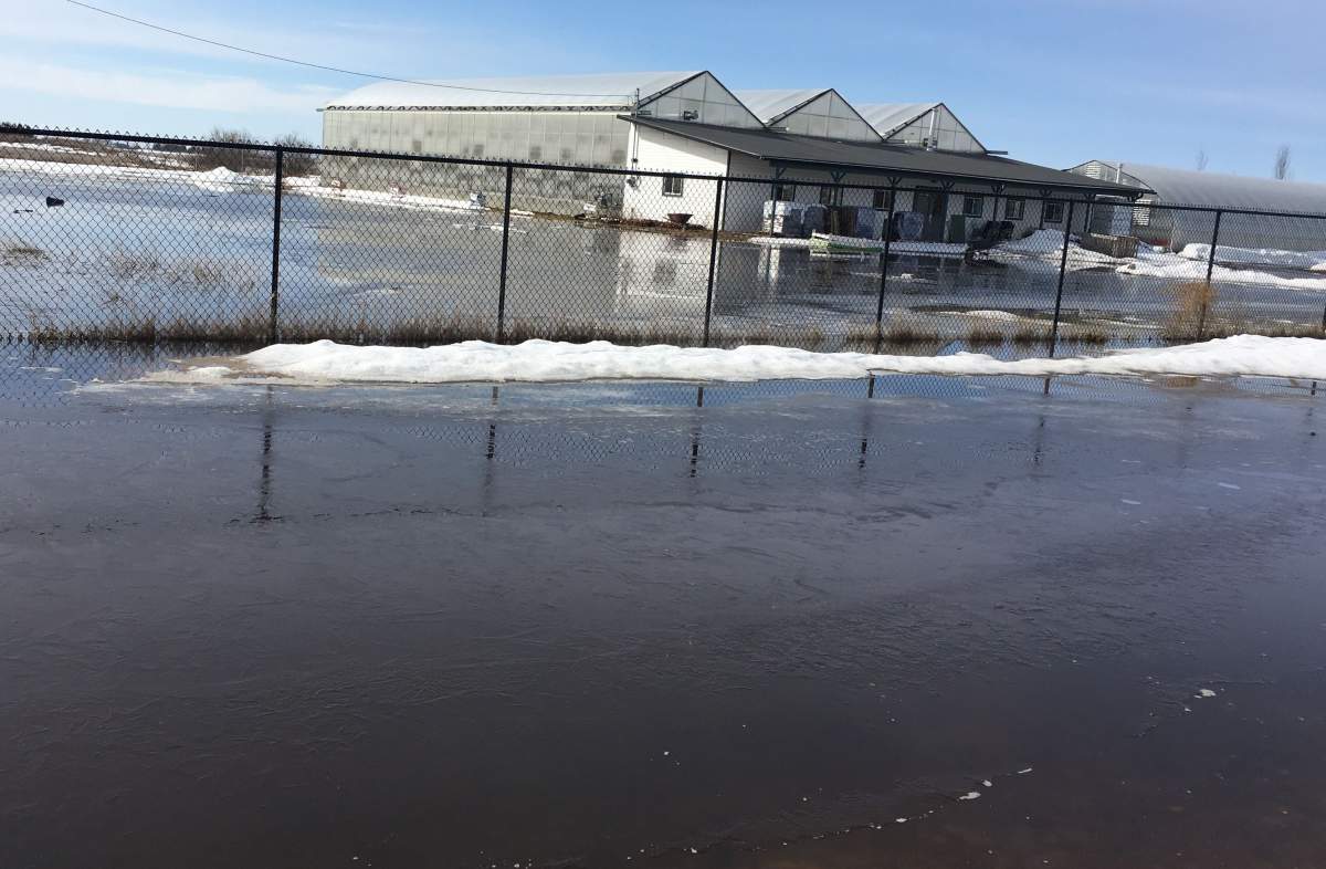 IN PHOTOS: Spring runoff floods Morinville greenhouse - Edmonton ...