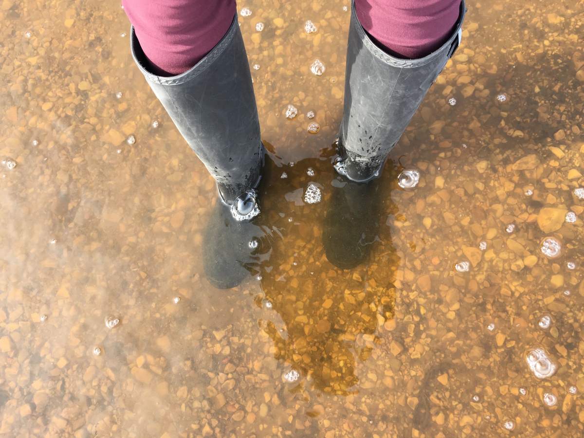 IN PHOTOS: Spring runoff floods Morinville greenhouse - Edmonton ...