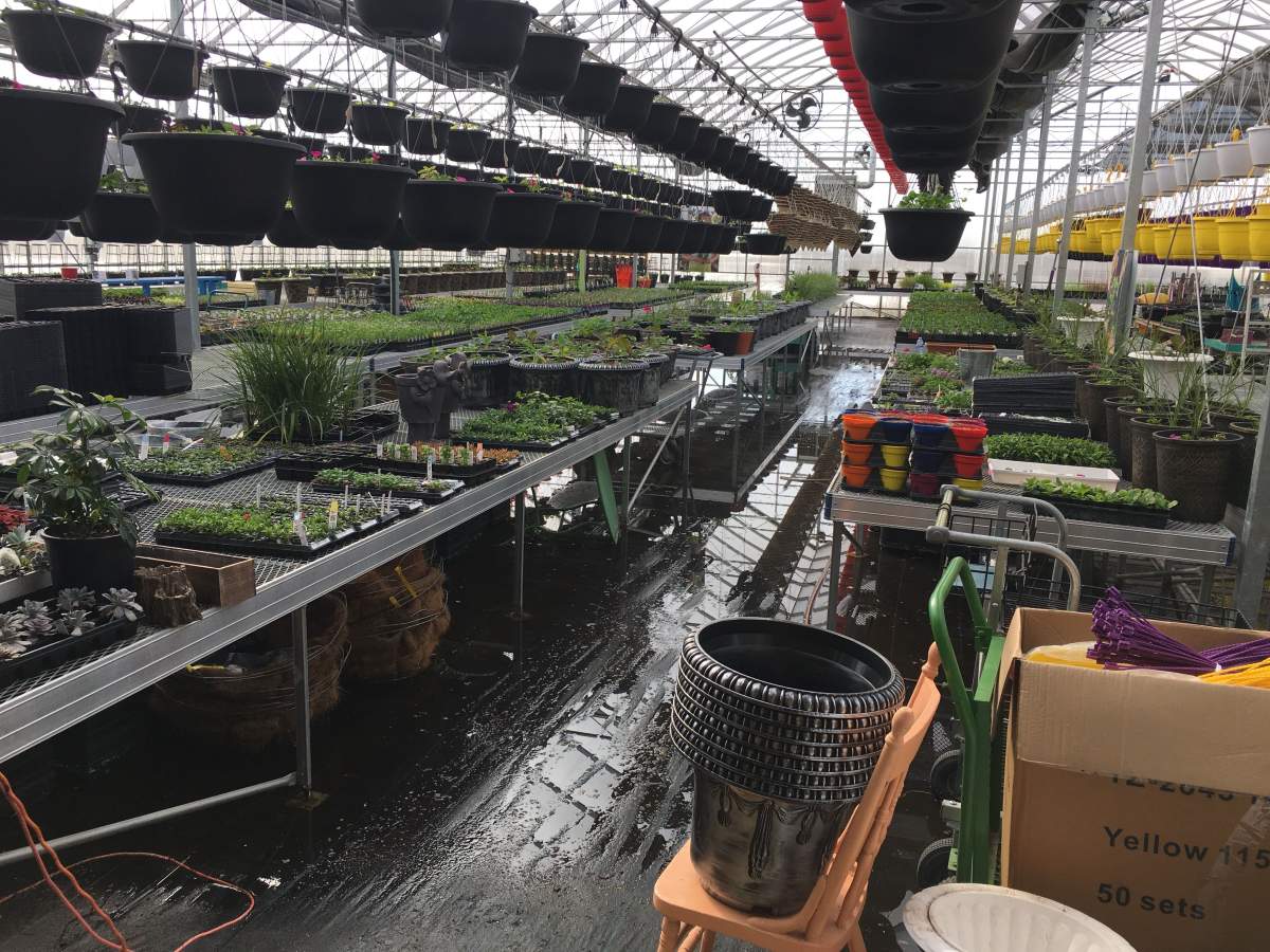IN PHOTOS: Spring runoff floods Morinville greenhouse - Edmonton ...