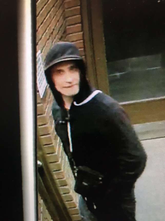Halton police release surveillance photos of break and enter suspect ...