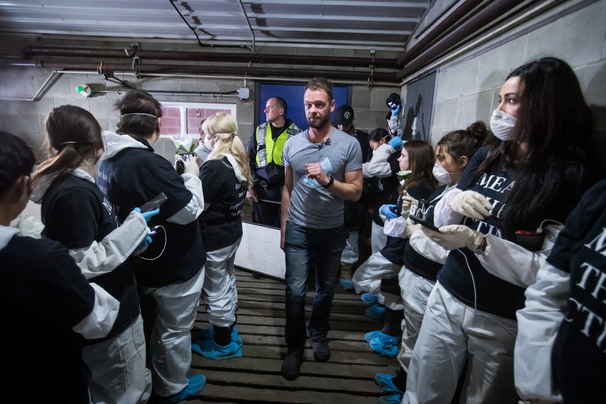 Animal rights activists occupy B.C. pig farm over abusive conditions ...