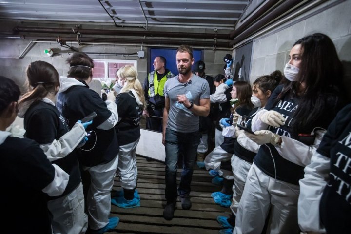 Animal rights activists occupy B.C. pig farm over abusive conditions ...