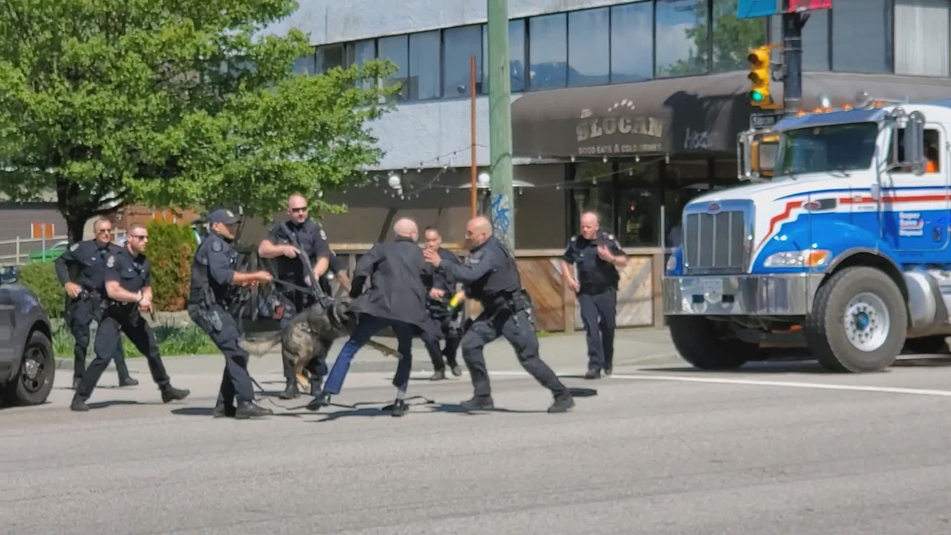 Vancouver police K9 takedown caught on camera - BC | Globalnews.ca