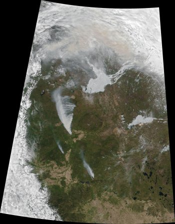 High Level wildfire grows to nearly 80,000 hectares | Globalnews.ca