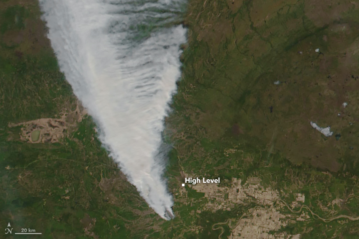 High Level wildfire grows to nearly 80,000 hectares | Globalnews.ca