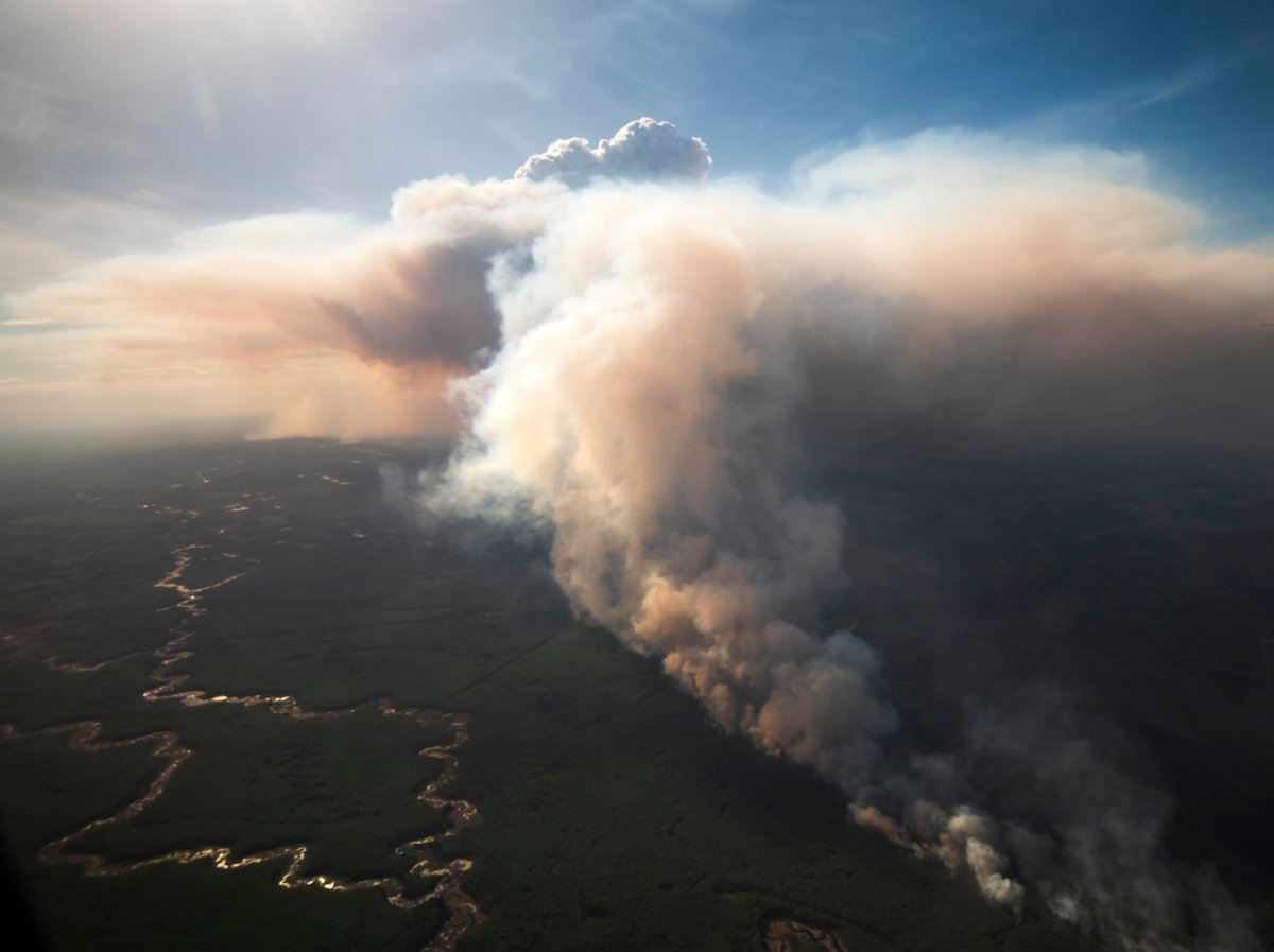 IN PHOTOS: Premier Kenney takes aerial tour of High Level wildfire ...