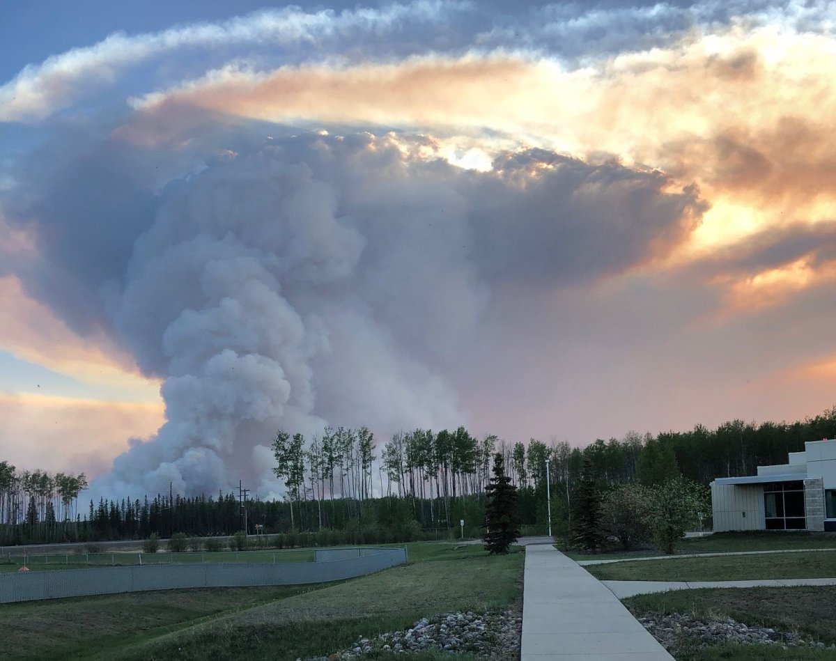 High Level wildfire grows to nearly 80,000 hectares | Globalnews.ca