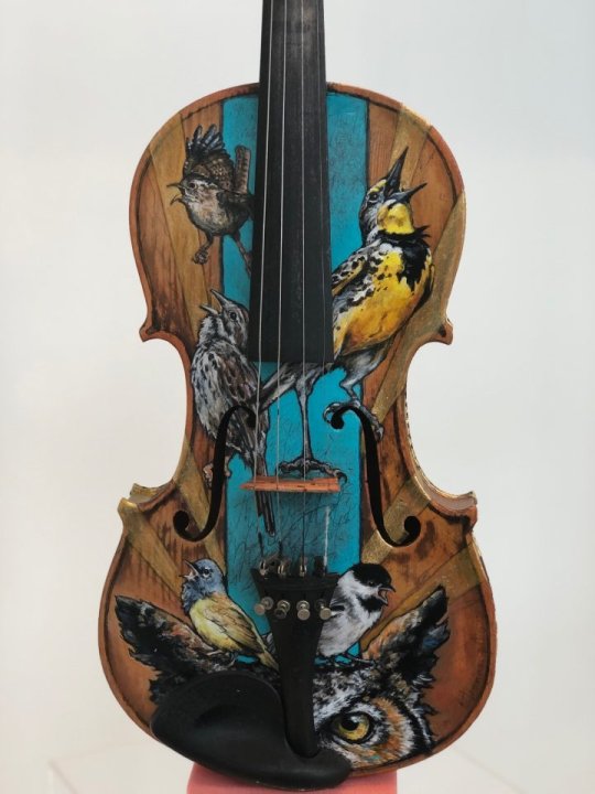 ‘One-of-a-kind’ violins, cello repurposed as art for Lethbridge youth ...