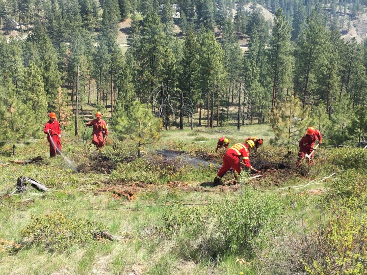 Municipal firefighters training to fight wildfires as seasons become ...