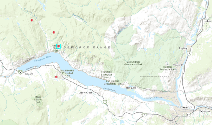 Ground, air crews respond to multiple lightning-caused wildfires near ...