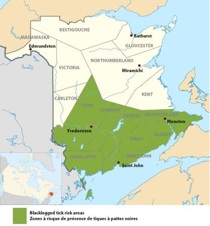 Tick-tock: Ticks are spreading across Canada. Here are their new homes ...
