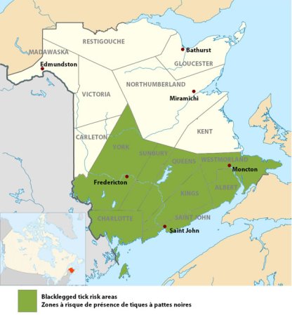 Tick-tock: Ticks are spreading across Canada. Here are their new homes ...